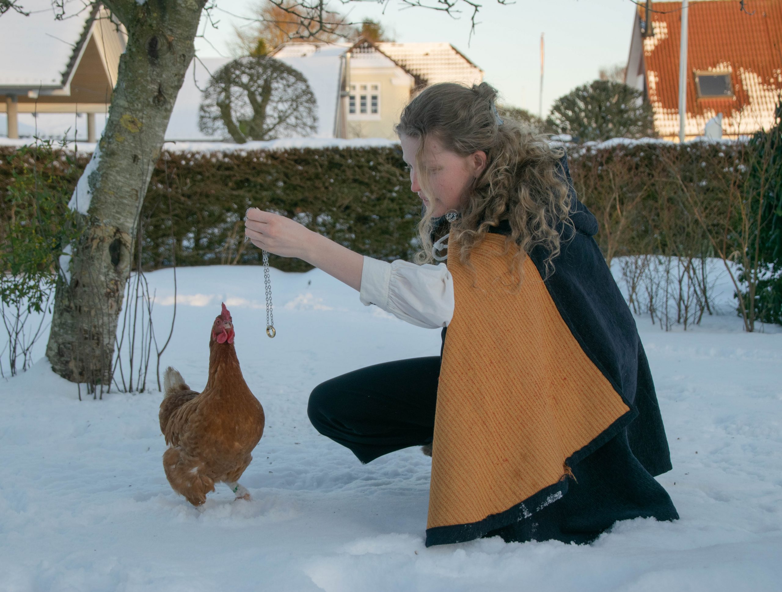 The Secret Life of Poultry: Chickens of Gondor - Backyard Poultry